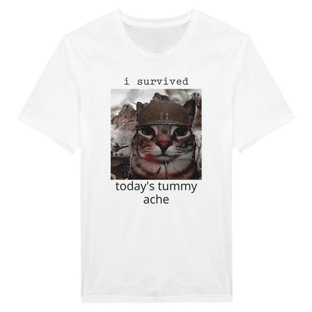 I Survived Today's Tummy Ache 1000-yard Stare Cat Meme T-shirt - Etsy