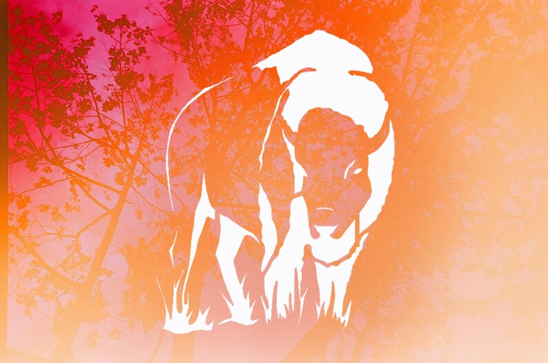 Majestic Bison Buffalo Stencil Reusable Plastic Template for Crafting ...