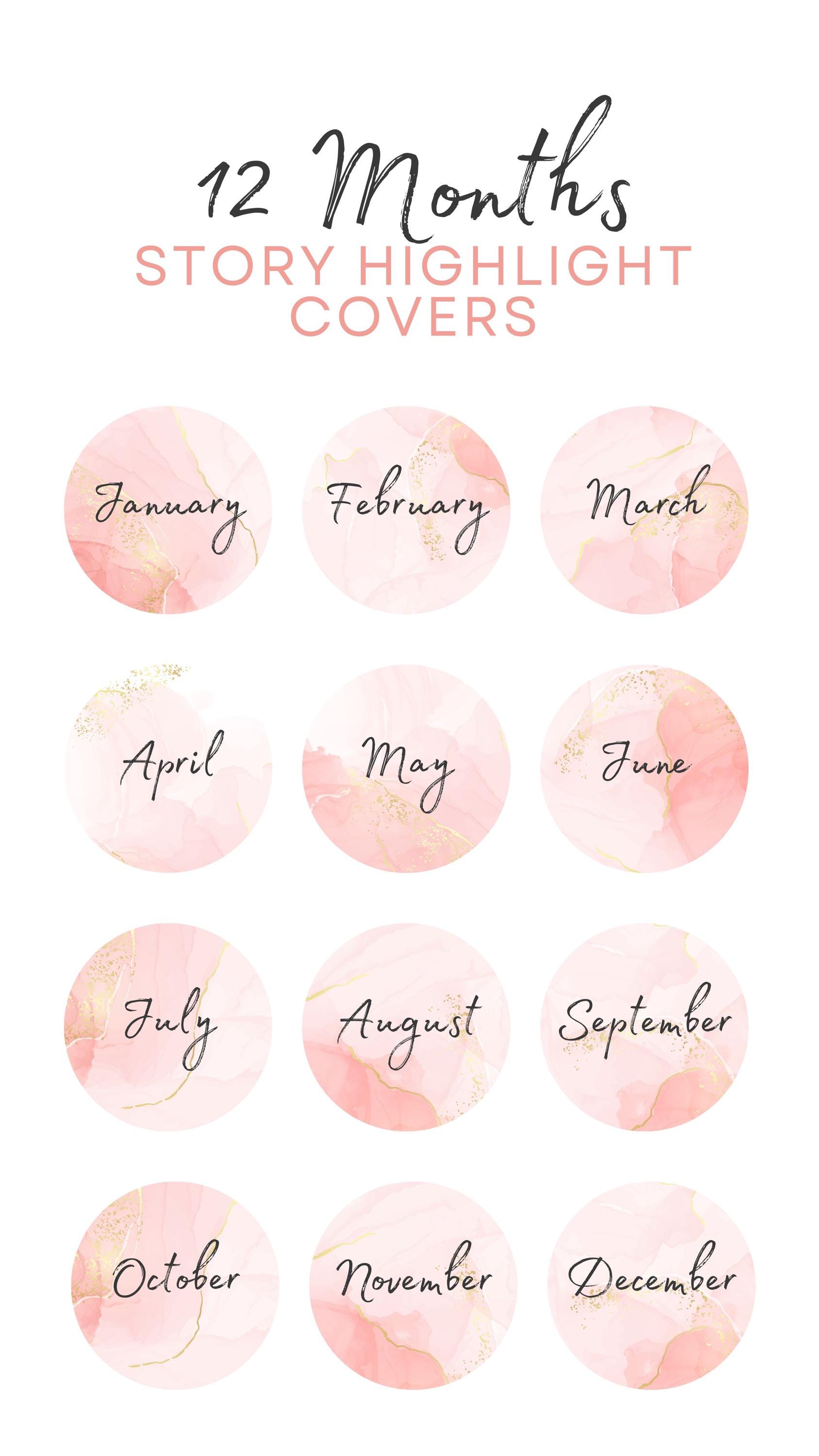 Pink Instagram Highlight Covers: Months of the Year Icons for Social ...