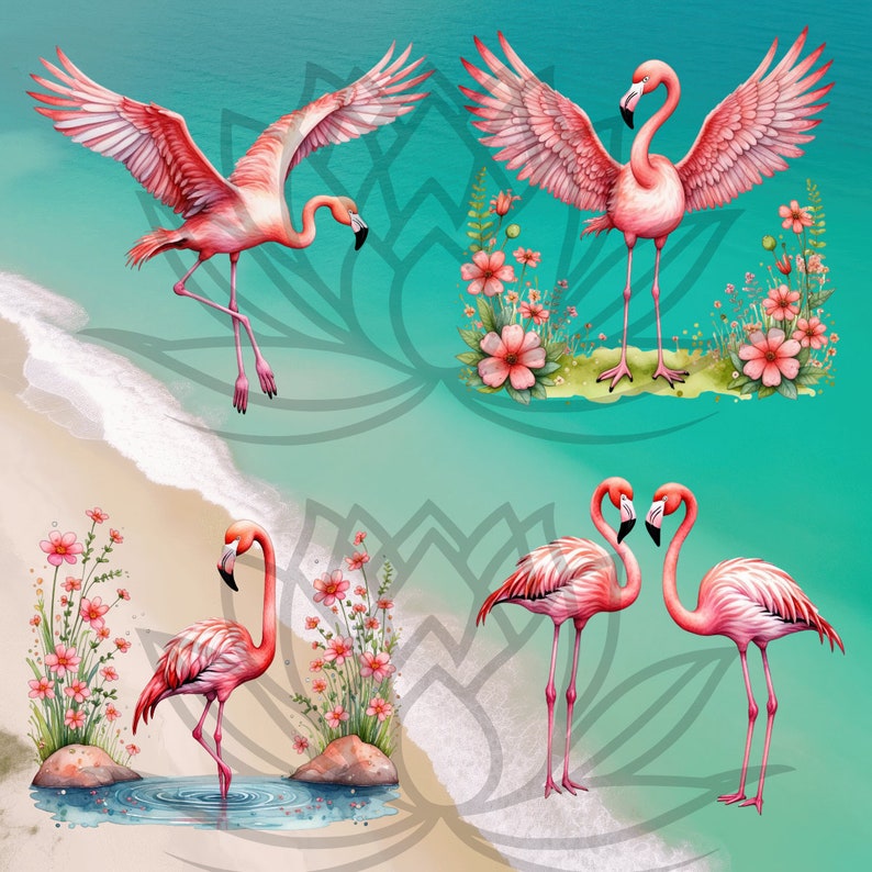 10 Flamingo Cliparts PNG - Etsy