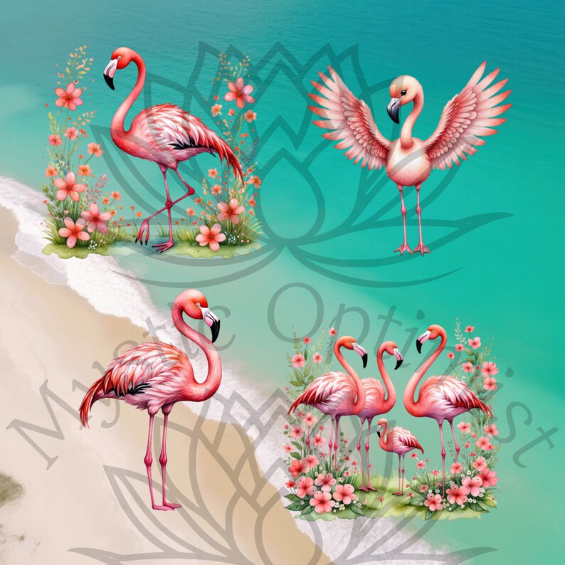 10 Flamingo Cliparts PNG - Etsy