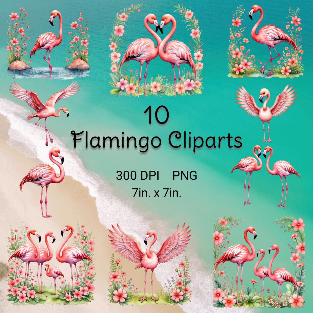 10 Flamingo Cliparts PNG - Etsy