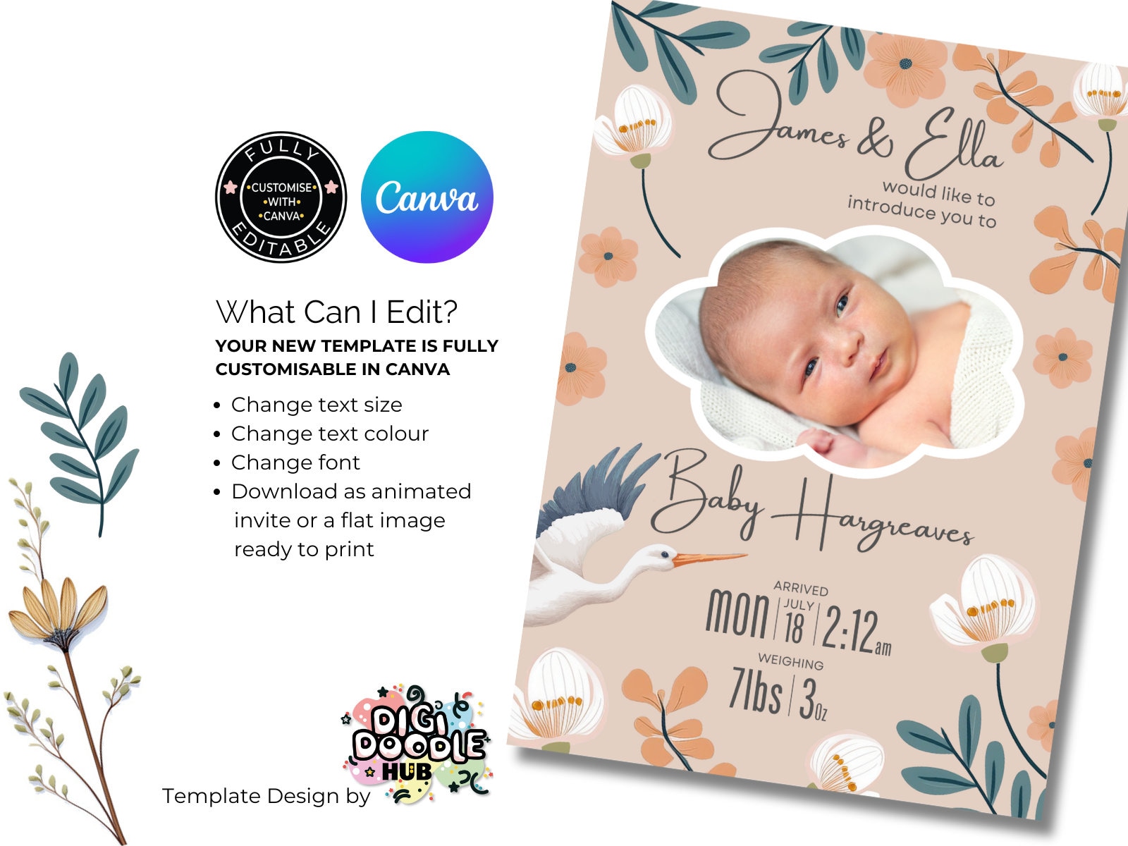 Baby Birth Announcement - Animated, Newborn Baby Announcement ...