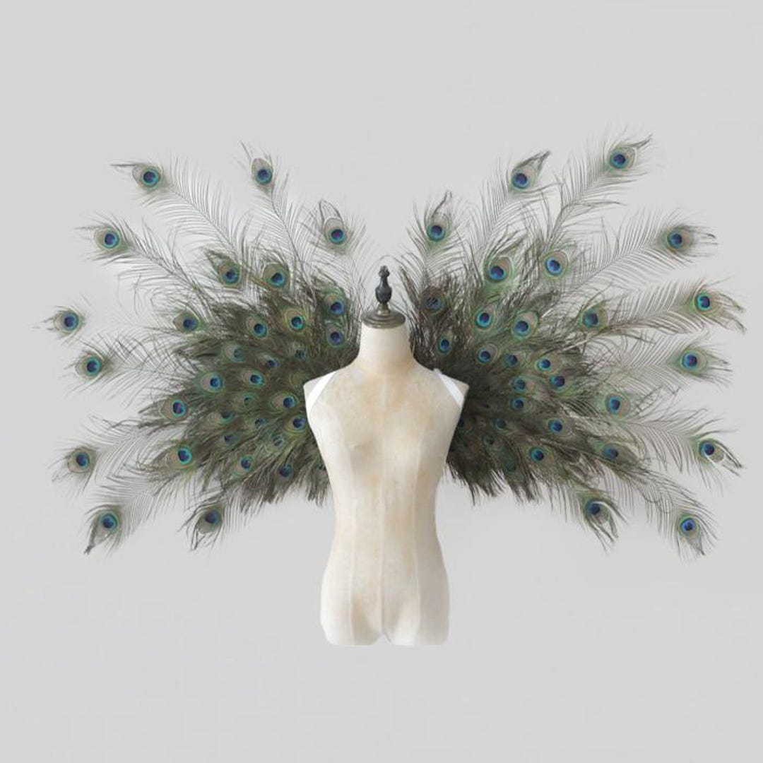 Extra Large Peacock Feather Angel Wings: Runway Showpiece Costume ...