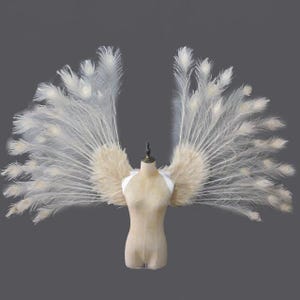 Extra Large Peacock Feather Angel Wings: Runway Showpiece Costume ...