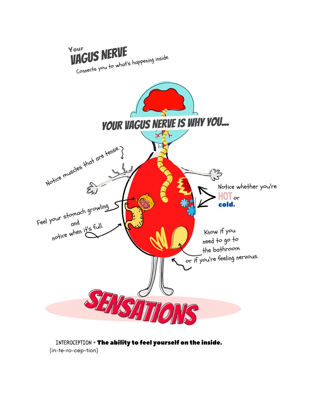 Kids' Guide to Interoception, Vagus Nerve, and Senses Printable ...