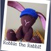 Robbie Amigurumi Crochet Pdf Pattern - Etsy