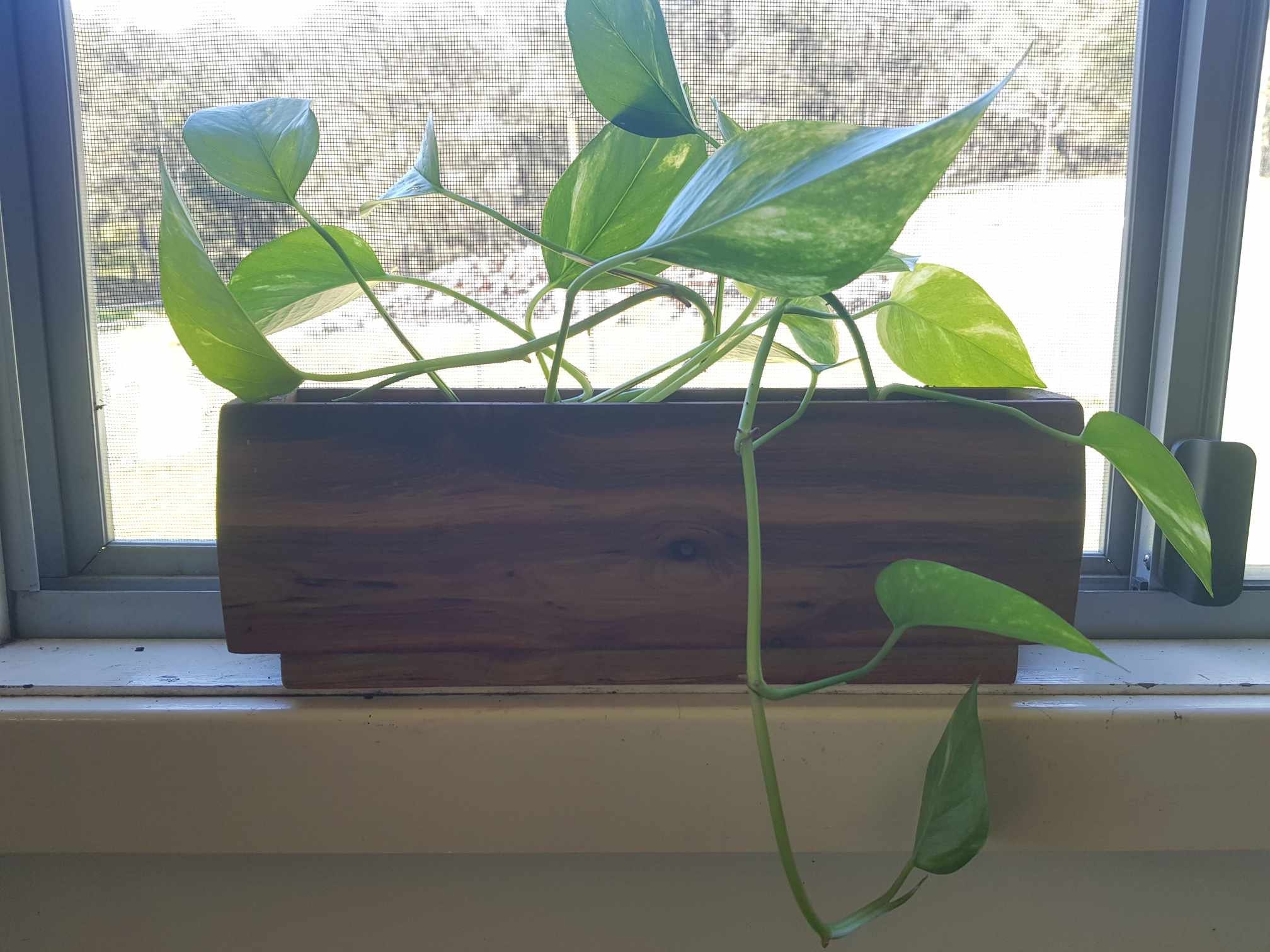 Rustic Handmade Wood Skinny Windowsill Planter Box. Free Postage and ...
