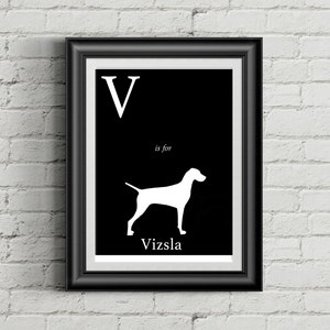 Alphabet Art Print - Dog Art Print - V is for Vizsla Art Print - Dog ...