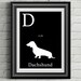Alphabet Art Print - Dog Art Print - D is for Dachshund Art Print ...