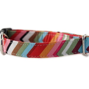 Multi-colored Chevron Dog Collar - Rainbow Chevron Dog Collar - Etsy