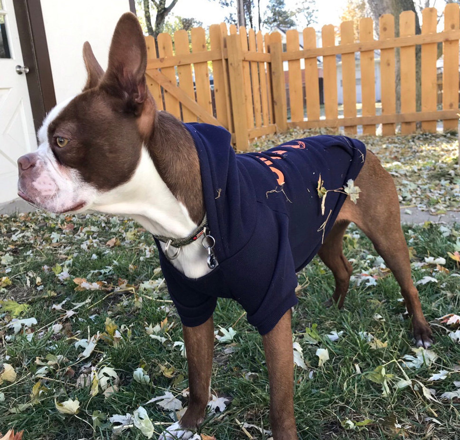 Chicago Style Dog Hoodie - Chicago Dog Lover Gift - Chicago Hot Dog ...