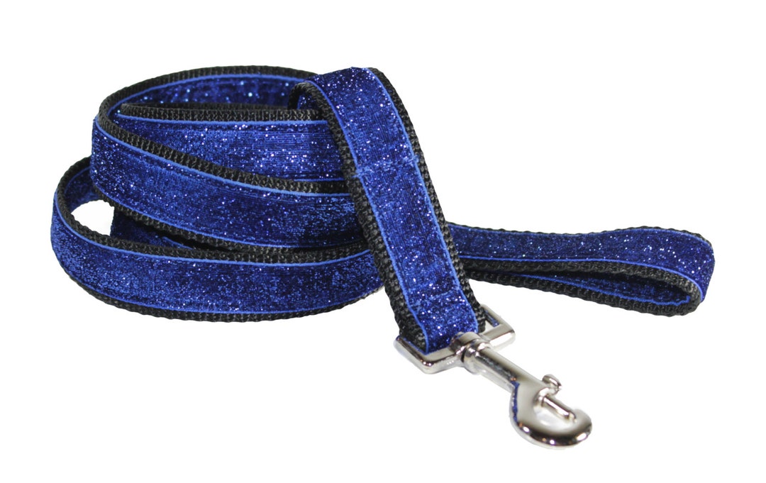 Blue Glitter Dog Leash – Handmade Sparkly Pup Leash - Etsy