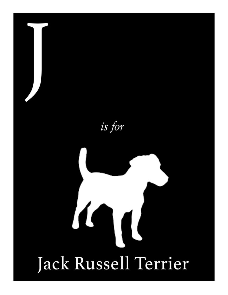 Alphabet Art Print dog art print J is for Jack Russell | Etsy