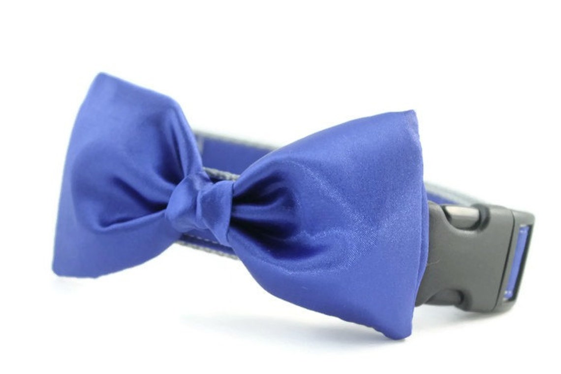 Royal Blue Bow Tie Dog Collar - Dog Bow Tie Collar - Wedding Attire for ...