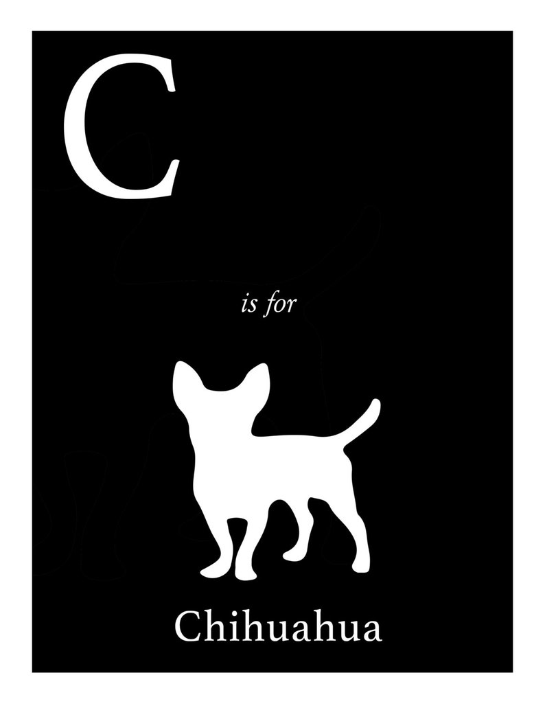 Alphabet Art Print Dog Art Print C is for Chihuahua Art - Etsy