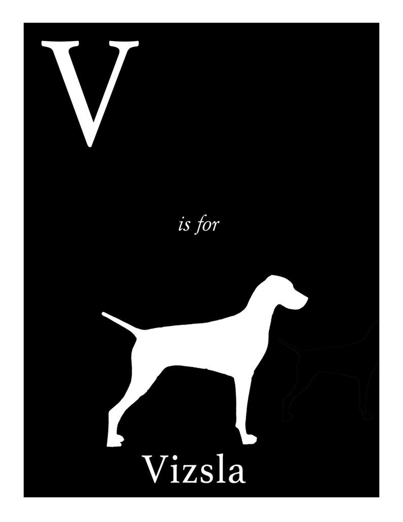 Alphabet Art Print Dog Art Print V is for Vizsla Art Print - Etsy