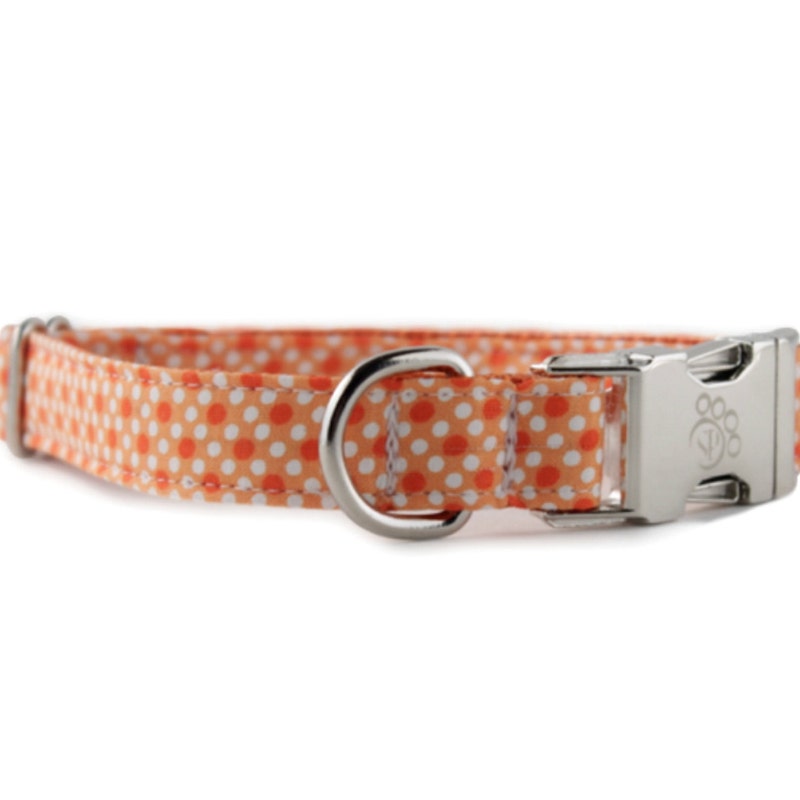 Orange Dog Collar - Etsy
