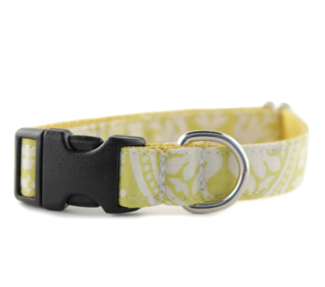 Yellow Dog Collar - Yellow and White Dog Collar - Solana Dog Collar ...