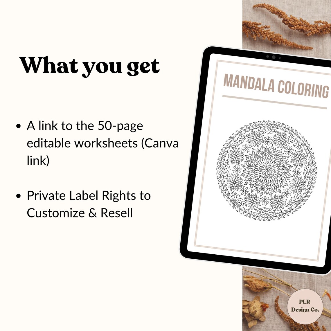 50 Mandala Coloring Pages: Customizable Worksheet Set (canva Template ...