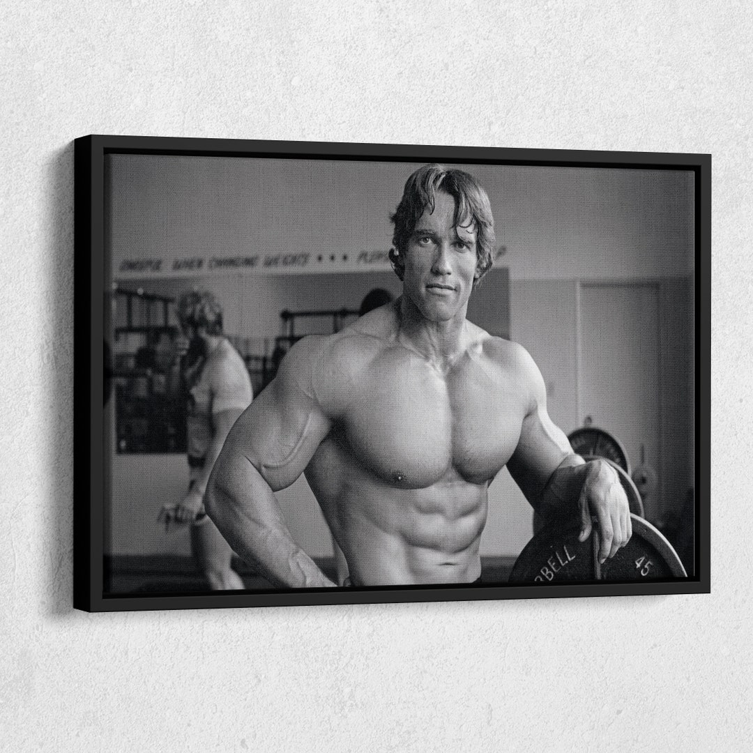 Arnold Schwarzenegger Poster Bodybuilding Canvas Wall Art Home Decor ...