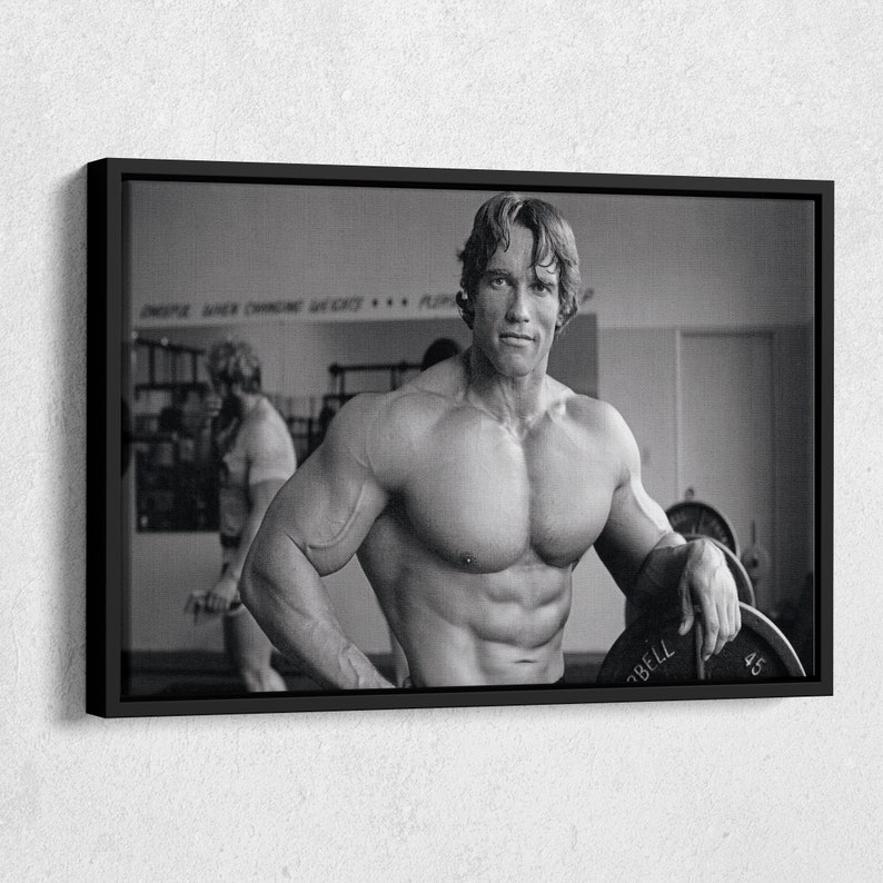 Arnold Schwarzenegger Poster Bodybuilding Canvas Wall Art Home Decor ...