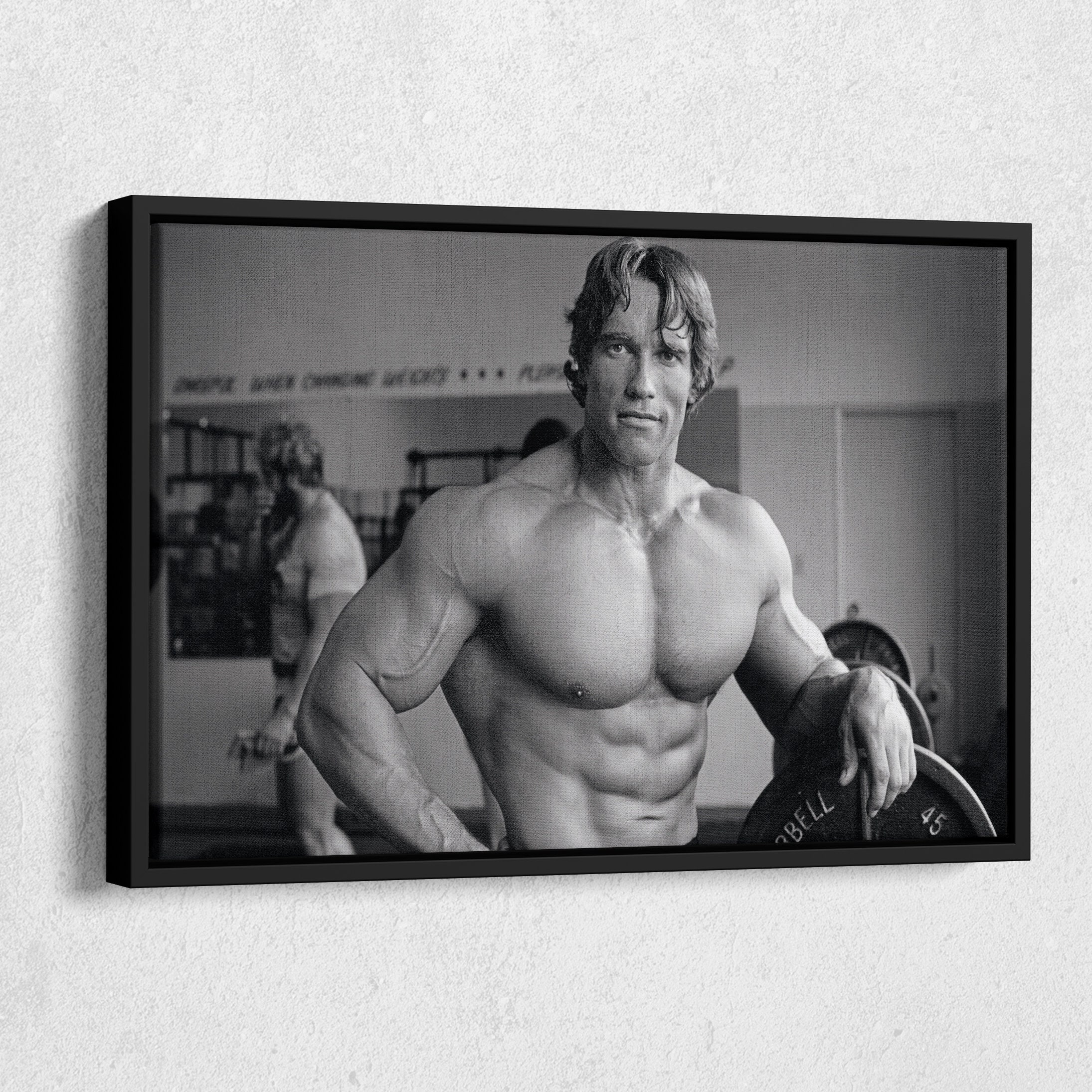 Arnold Schwarzenegger Poster Bodybuilding Canvas Wall Art Home Decor ...