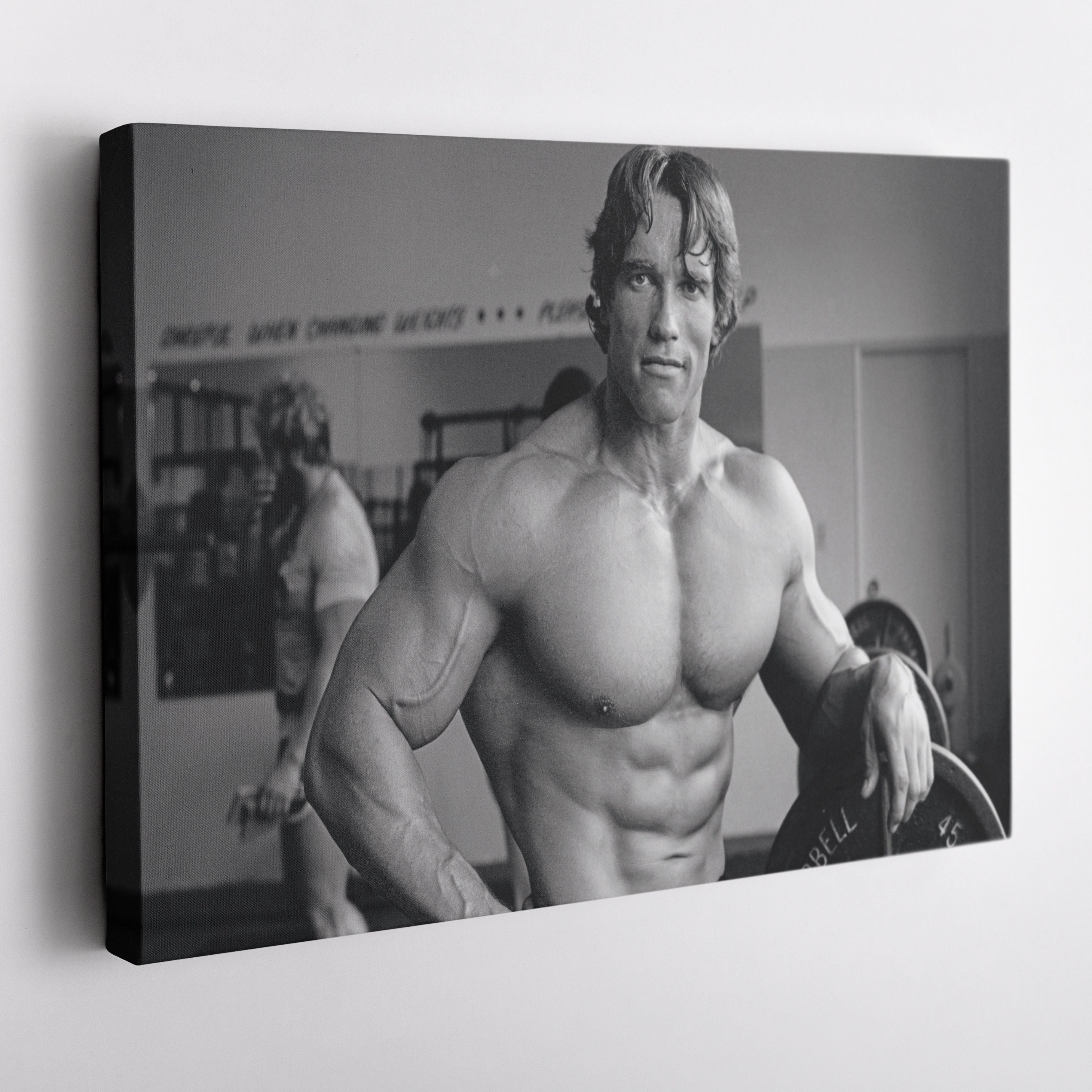 Arnold Schwarzenegger Poster Bodybuilding Canvas Wall Art Home Decor ...
