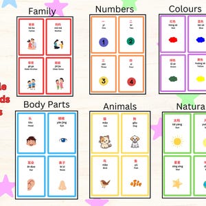 100 Themed Chinese Printable Flashcards - Fun Learning for Kids ...