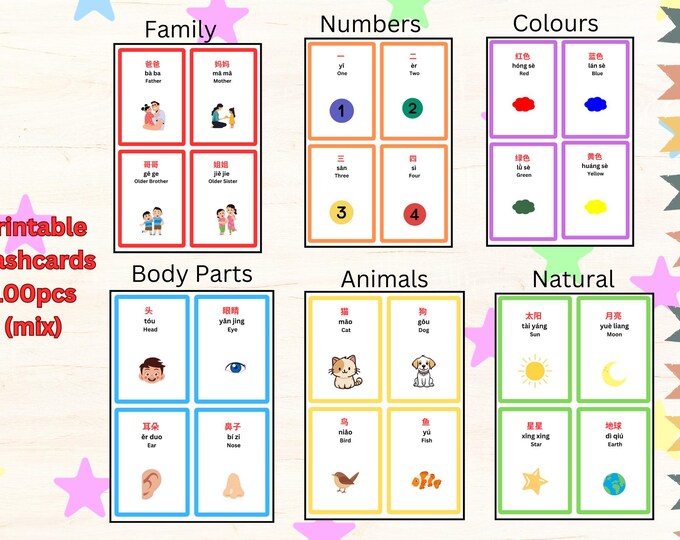 100 Themed Chinese Printable Flashcards - Fun Learning for Kids ...