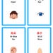 100 Themed Chinese Printable Flashcards - Fun Learning for Kids ...