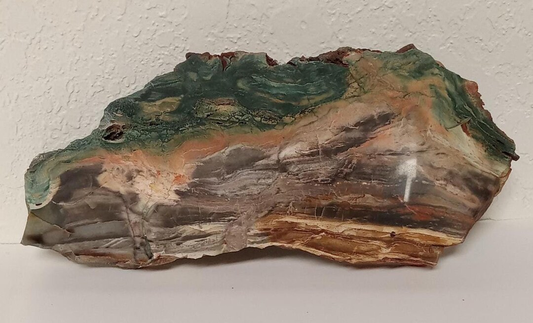 Petrified Bogwood/gary Green/larsonite Polished Large Display - Etsy