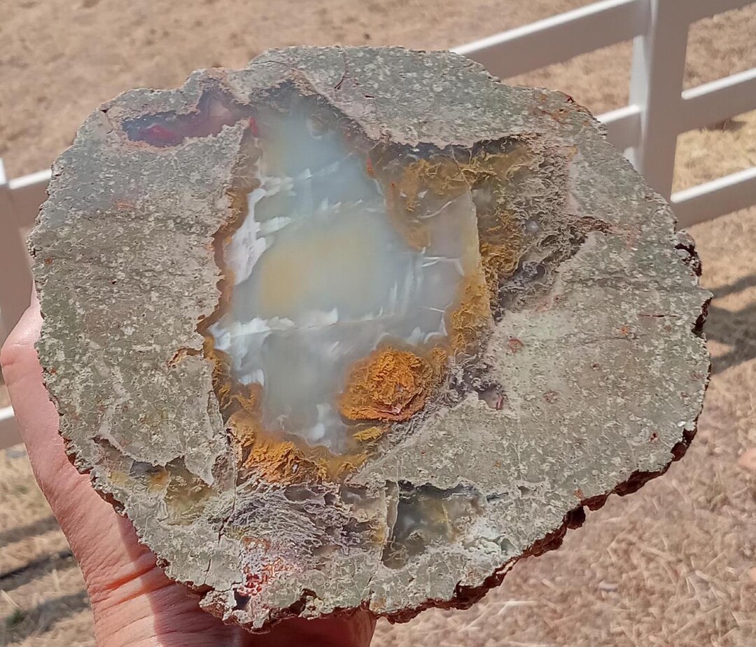 Extra Large, Polished Thunderegg Half - Etsy