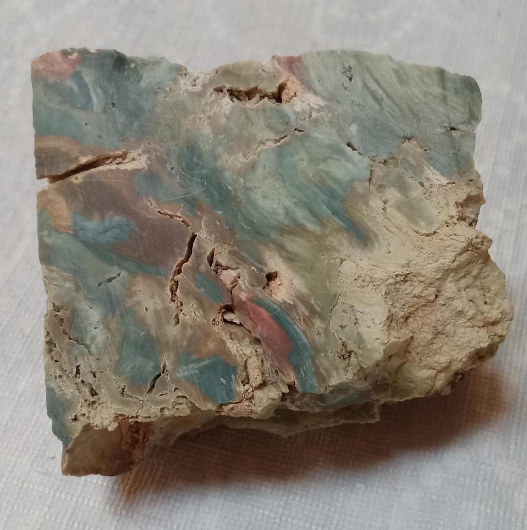 Petrified Bogwood/gary Green/larsonite Display Piece - Etsy