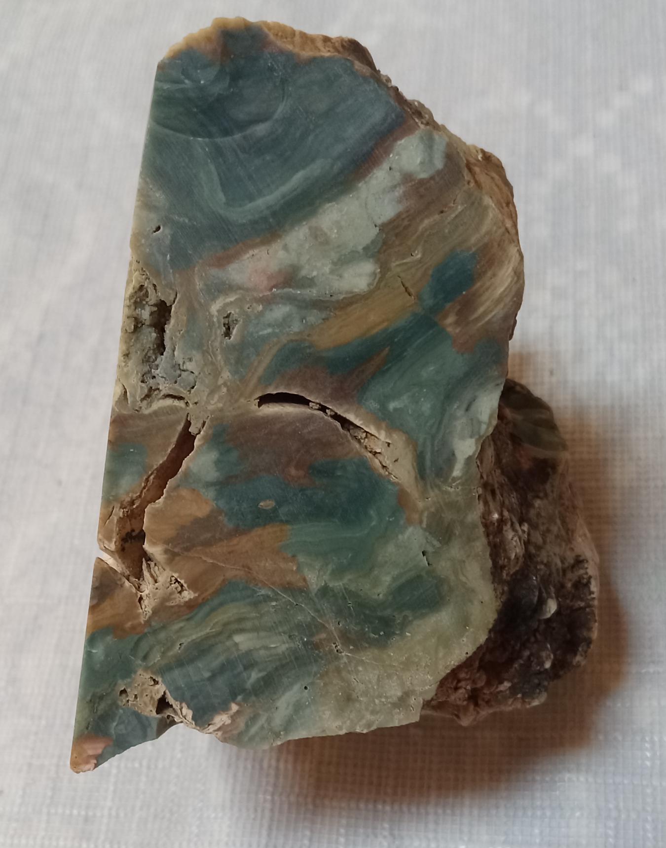 Petrified Bogwood/gary Green/larsonite Display Piece - Etsy