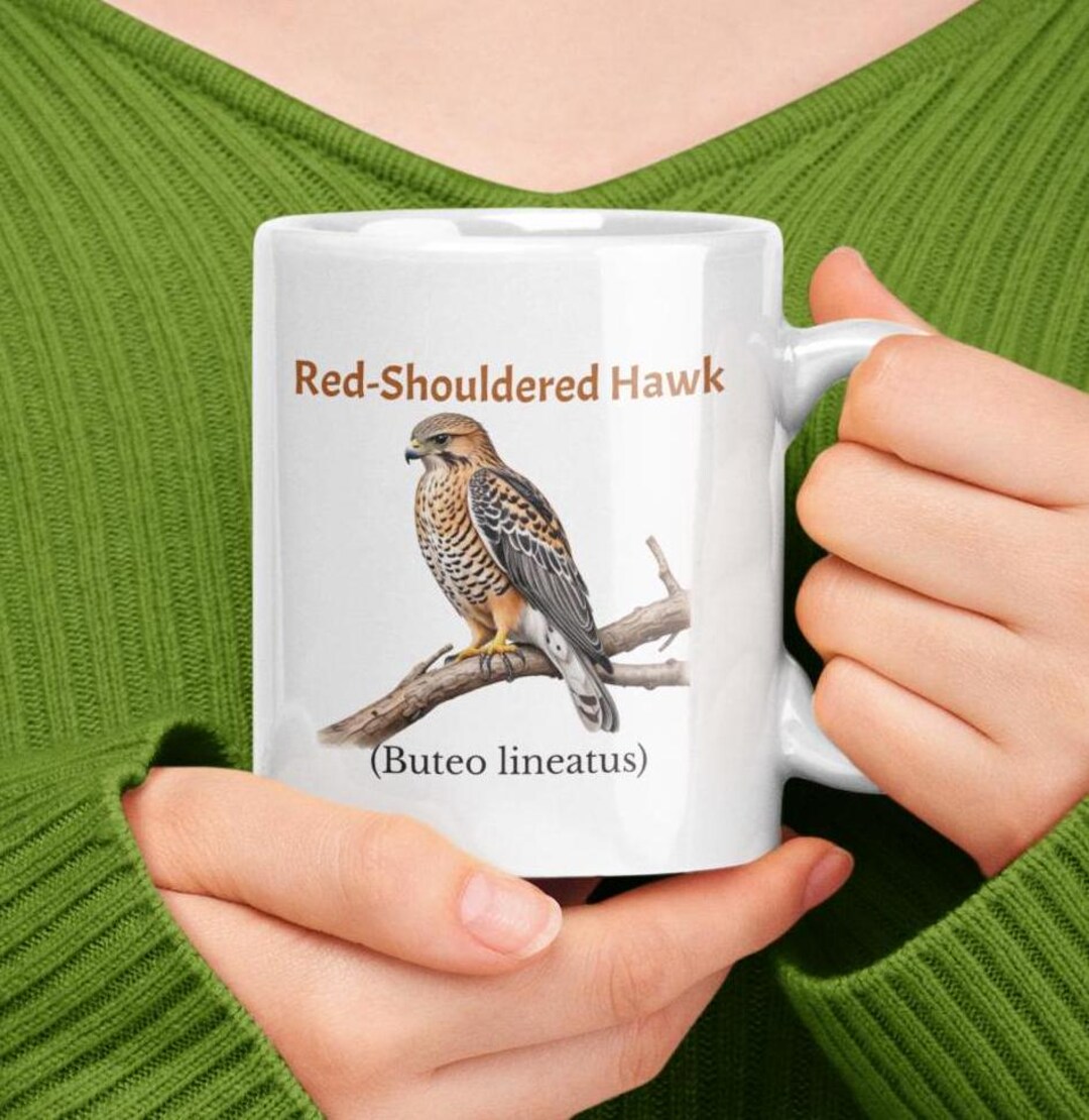 Suburban Birds: Red-shouldered Hawk on a White Glossy Mug, Ready for ...