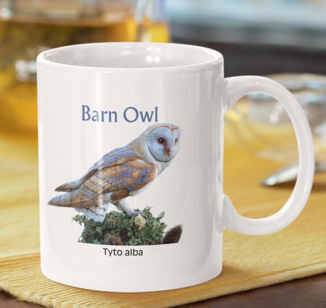 Barn Owl Mug: Birdwatcher Gift, White Ceramic Coffee Mug - Etsy