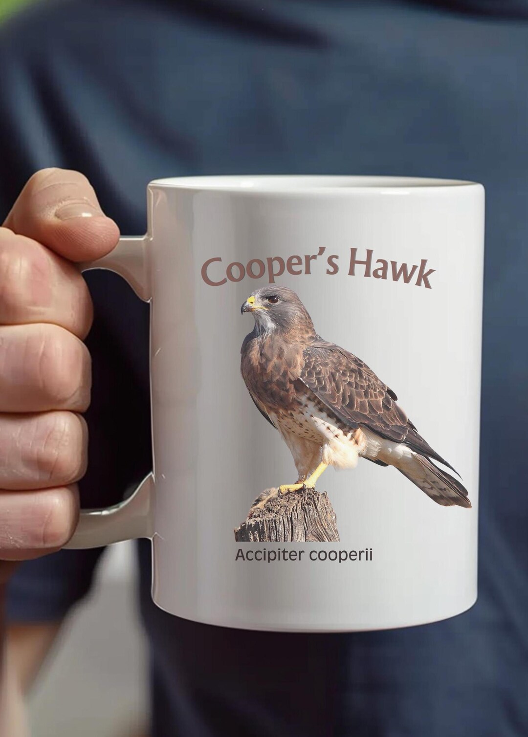 Cooper's Hawk on a Glossy, White, Ceramic Mug, (11oz, 15oz ...