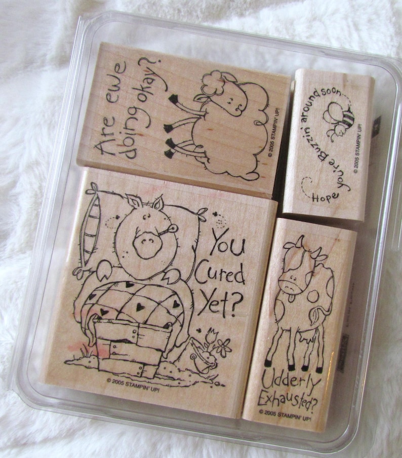 Retired STAMPIN' UP Rubber Stamp Set Destash - Bear Necessities ...