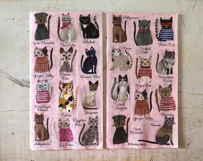 Set of 2 Fun Cat Print Paper Napkins Perfect for Decoupage, Paper ...