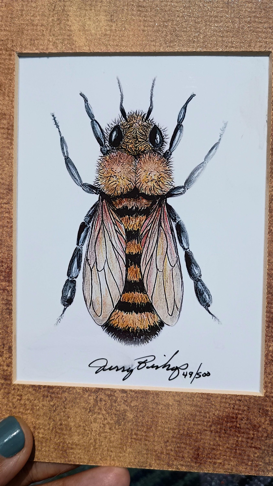 Jerry Bishop Bee Ink Art Print. - Etsy