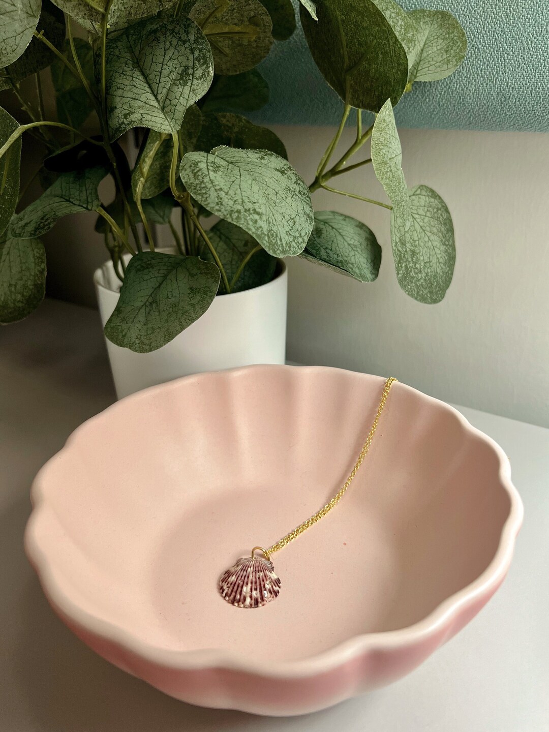 New Lightweight Handmade REAL Scallop Calico Seashell Necklace - Etsy