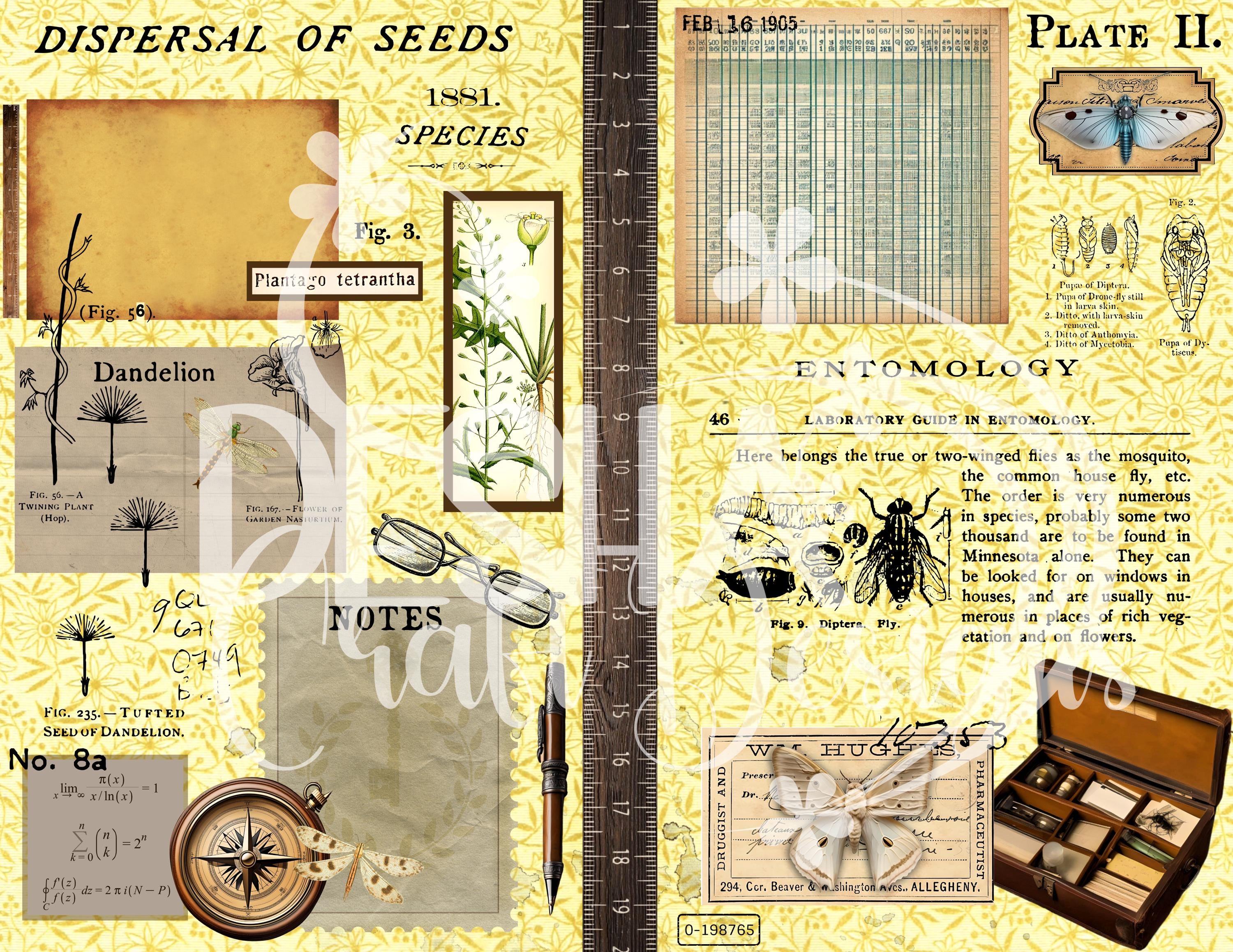 Vintage Field Notes Junk Journal Kit - Etsy