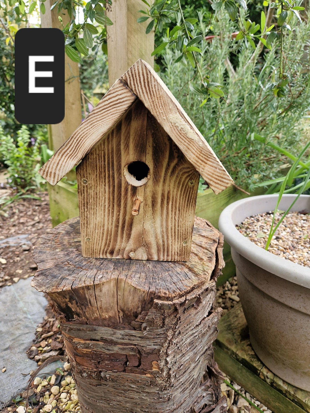Bird Box 25mm and 32mm Holes Available - Etsy