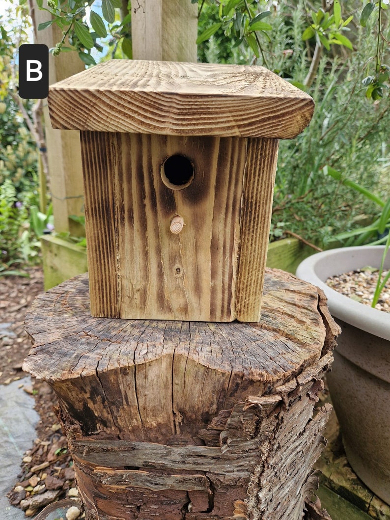 Handmade Wooden Bird Boxes - Etsy UK