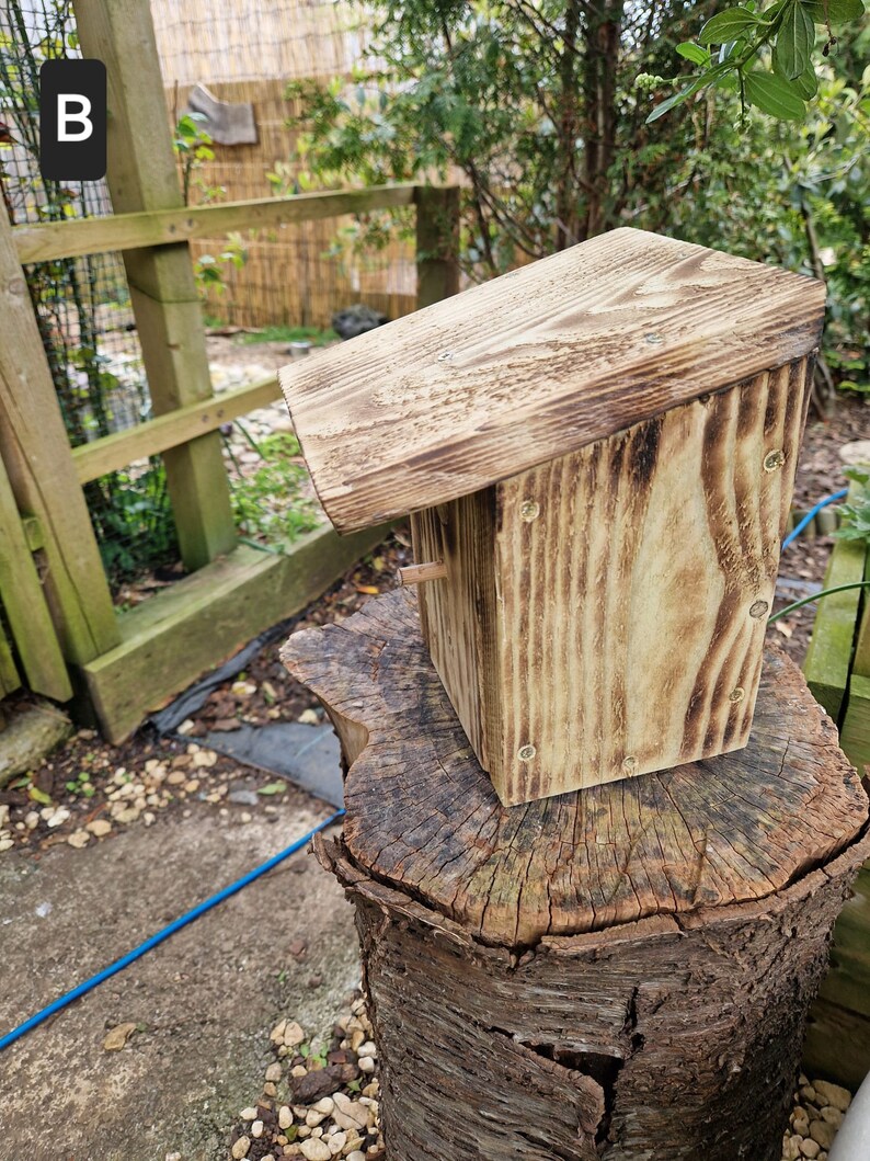 Handmade Wooden Bird Boxes - Etsy UK