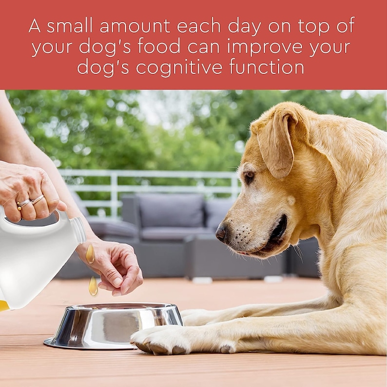 Pure Wild Alaskan Salmon Oil for Dogs & Cats- 1 Gallon - Stellar ...