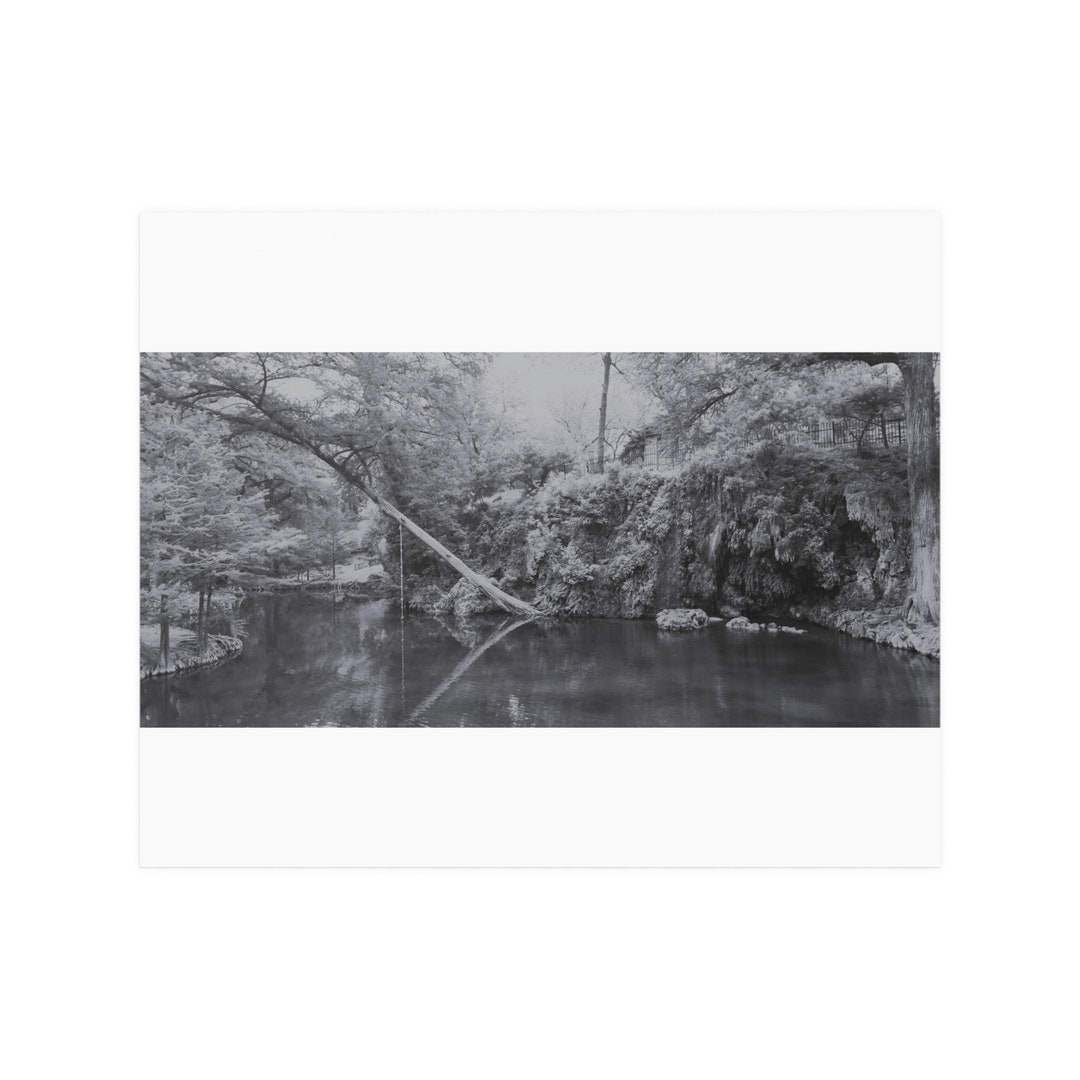 Krause Springs Texas Tree Swing Photo - Etsy
