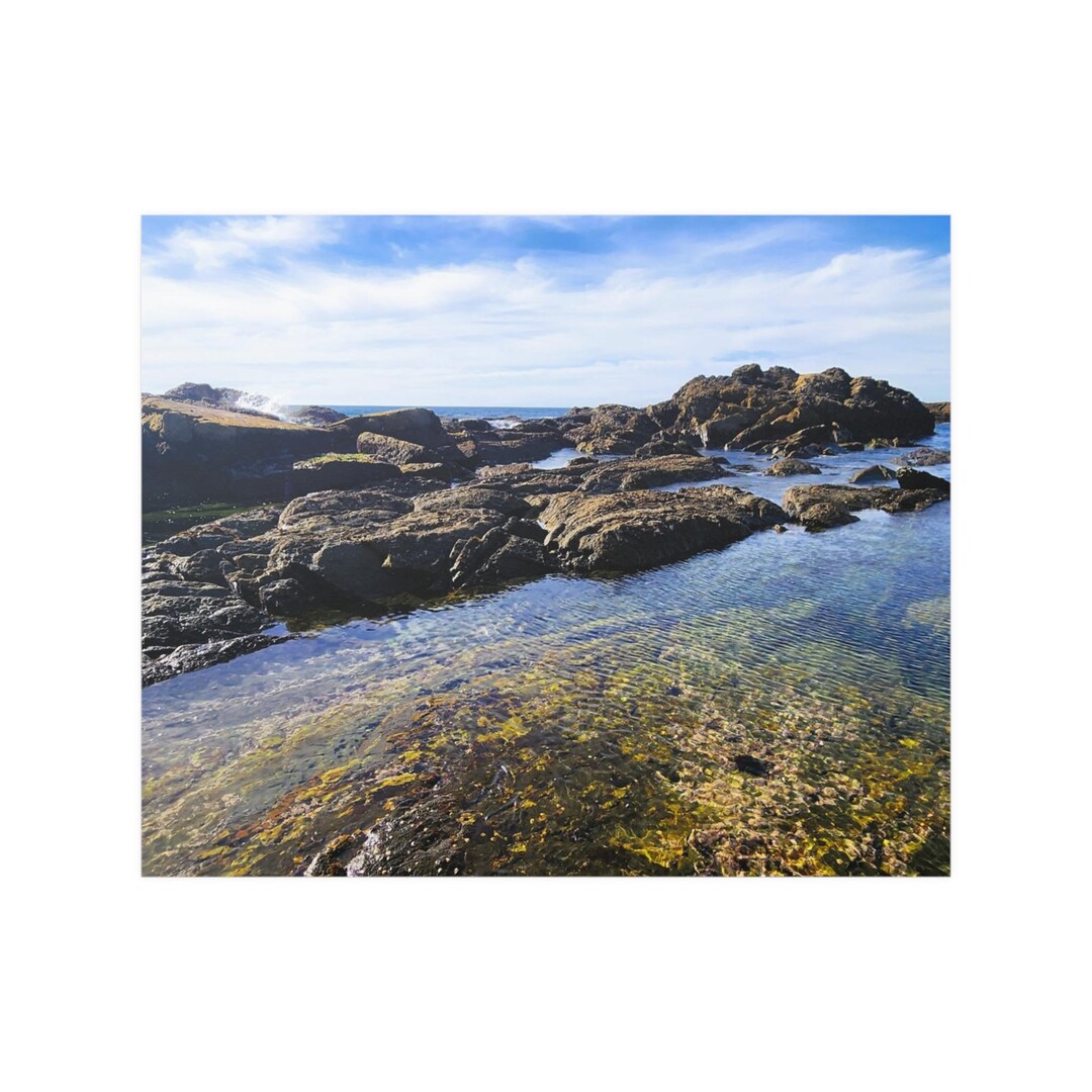 Tide Pool in Pacific Grove CA Photo - Etsy