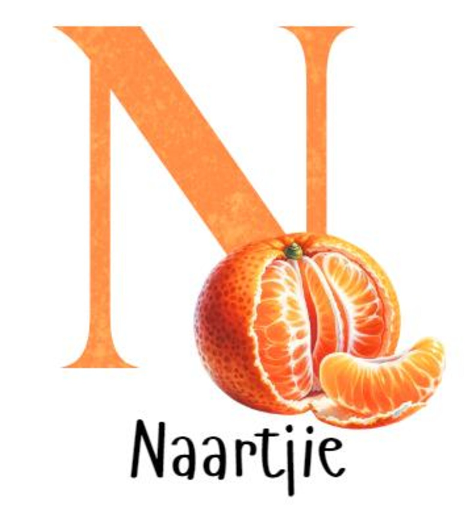 Afrikaans Alphabet Poster, South African Language, Digital Download ...